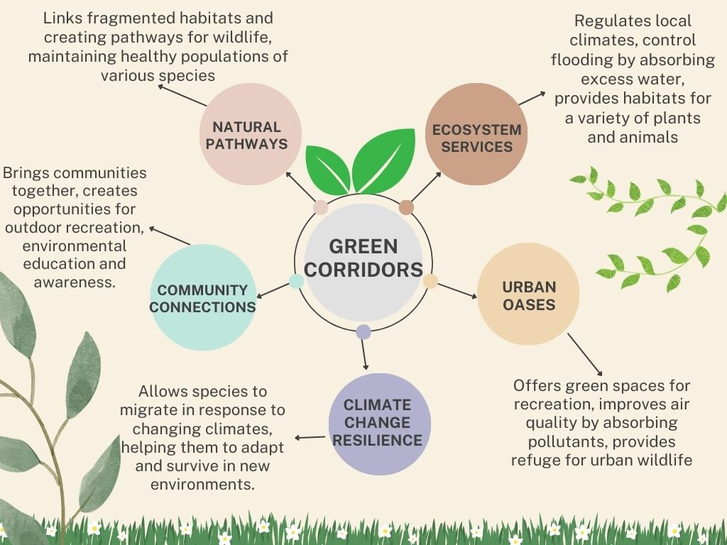 Green Corridors - Linking Nature Together! | Diss Town Council